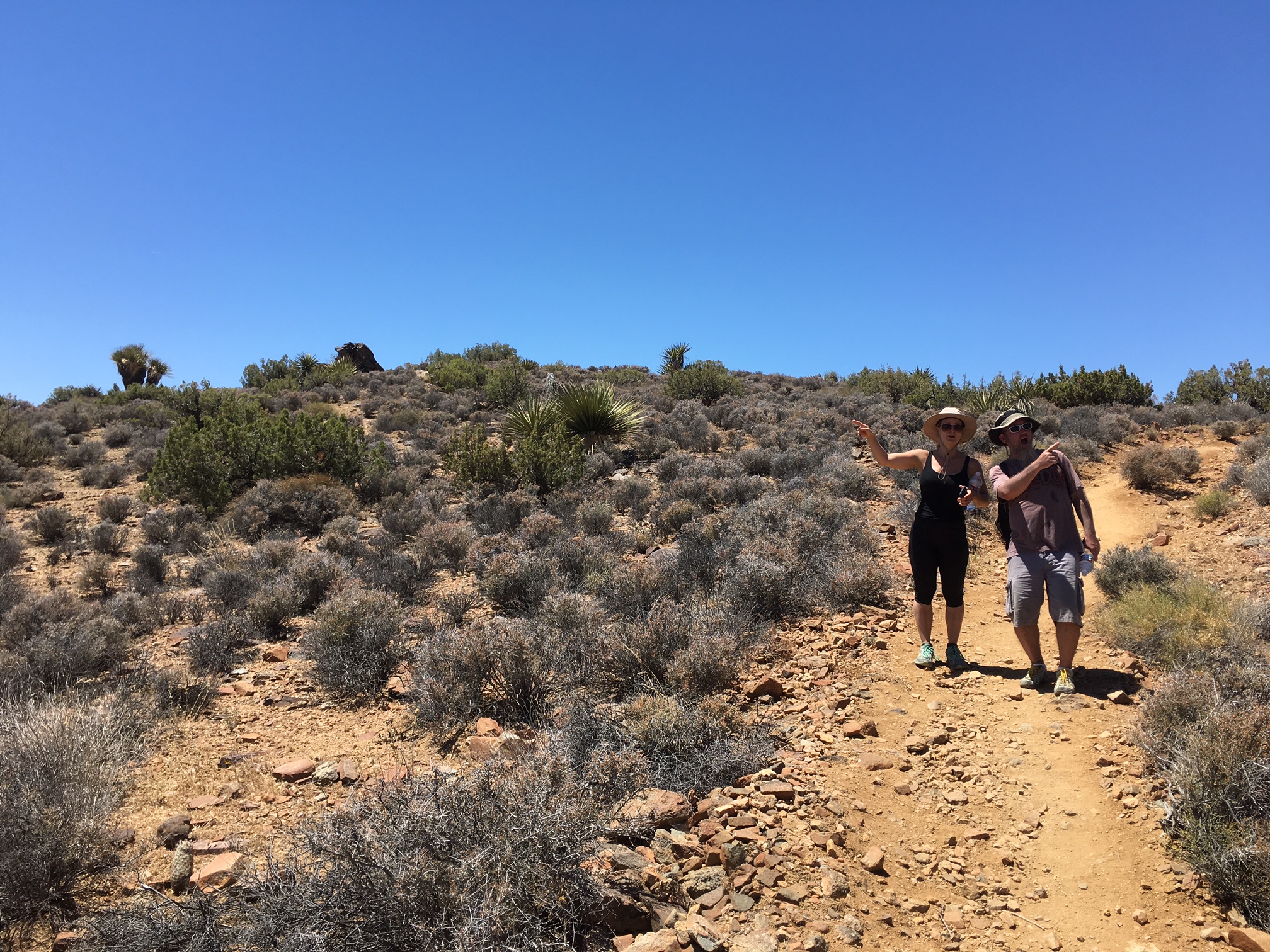 Friends of ISGIDAR | ISGIDAR